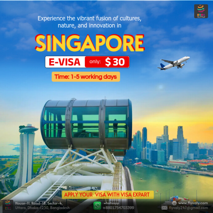 Blue Professional Singapore E-visa Ads Design Template Instagram Post ...