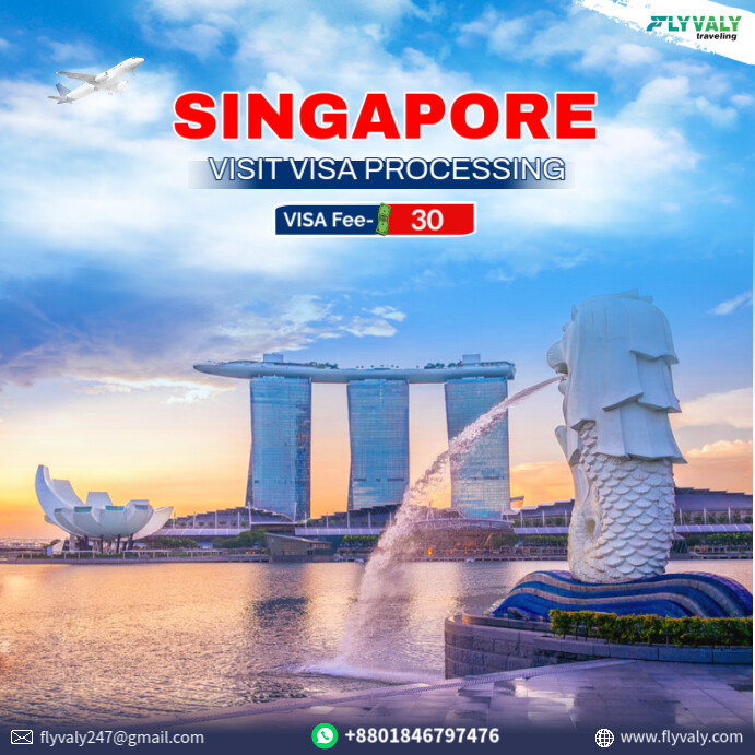 Copy of Blue Professional Singapore Visa Processing Ads Design Template ...