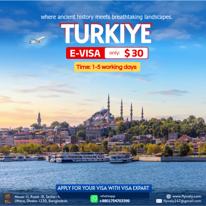 Blue Professional Turkiye E-visa Ads Design Template Instagram Post ...