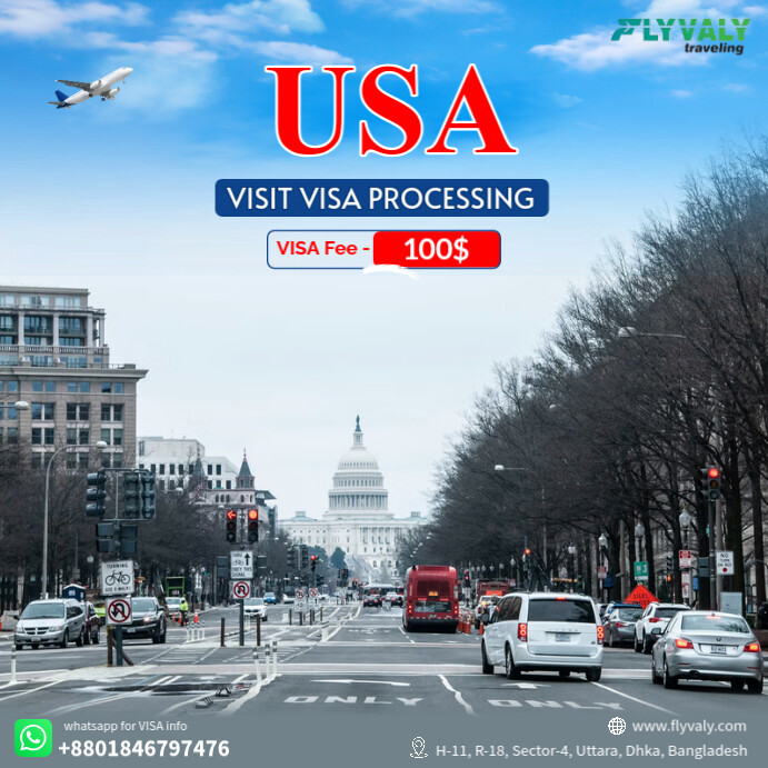 Copy of Blue Professional Usa Visa Processing Ads Poster Instagram Post ...