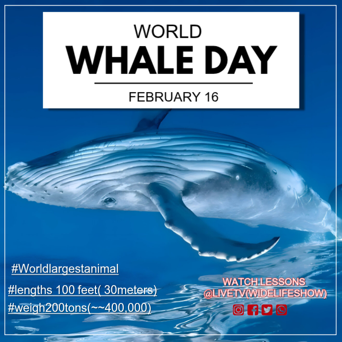 Blue World Whale Day Square Template | PosterMyWall