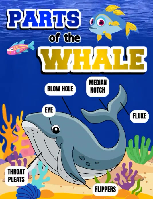 Body Parts Of Sea Animals Template | PosterMyWall