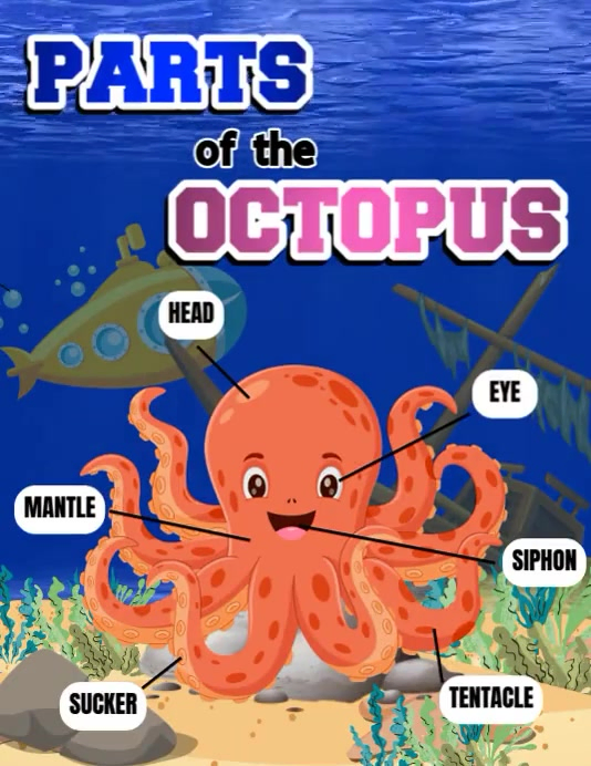 Plantilla de Body Parts Of Sea Animals | PosterMyWall