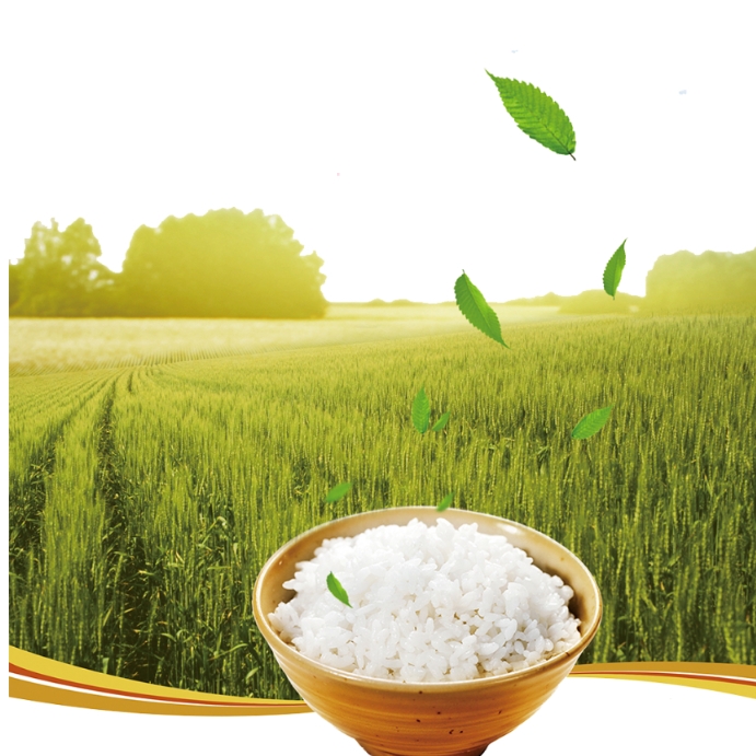 Copy of Bowl of rice with crops design flyer | PosterMyWall