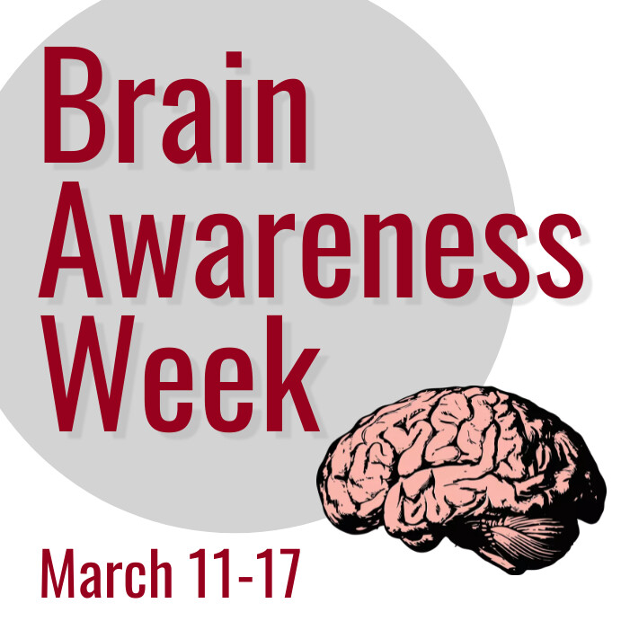Brain Awareness Week March 11-17 Template | PosterMyWall