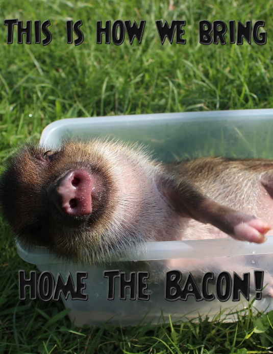 Bring Home The Bacon Template | PosterMyWall