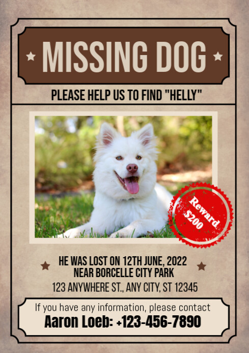 Brown Grunge Missing Dog A2 Template | PosterMyWall