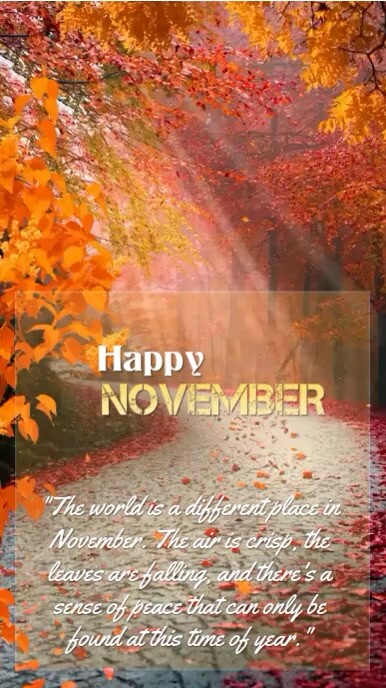 Brown Joyful Happy November Instagram Reel Template | PosterMyWall