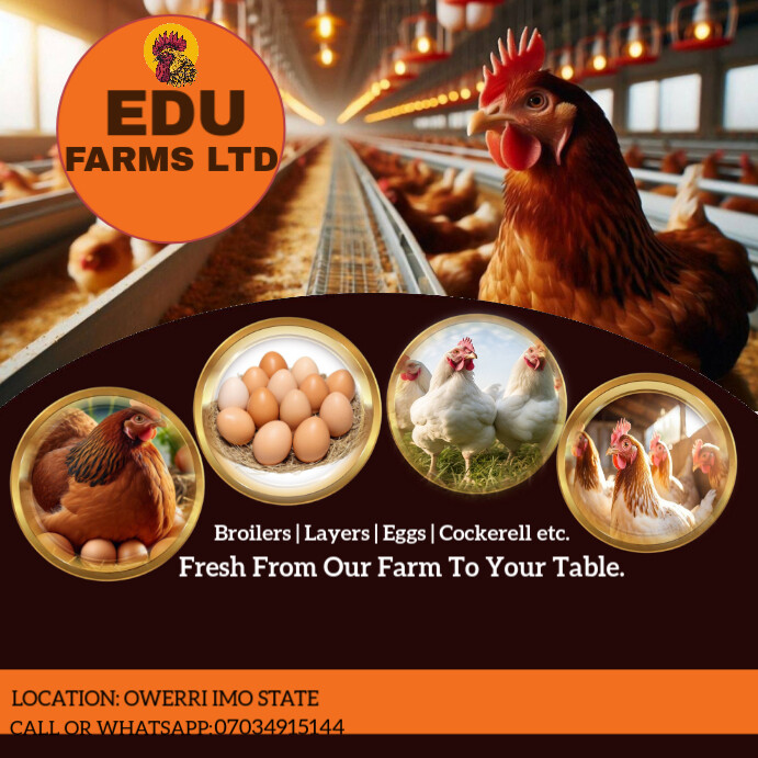Brown Maximalist Poultry Farm Flyer Instagram Post Template | PosterMyWall