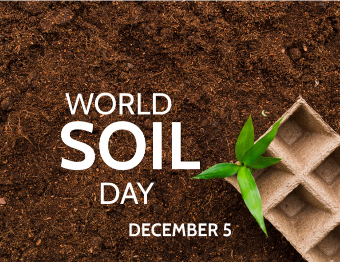 Brown Maximalist World Soil Day Flyer (us Letter) Template | PosterMyWall