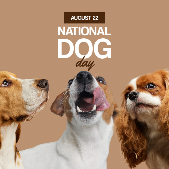 Copia de Brown Modern & Minimal National Dog Day Instagram Post ...