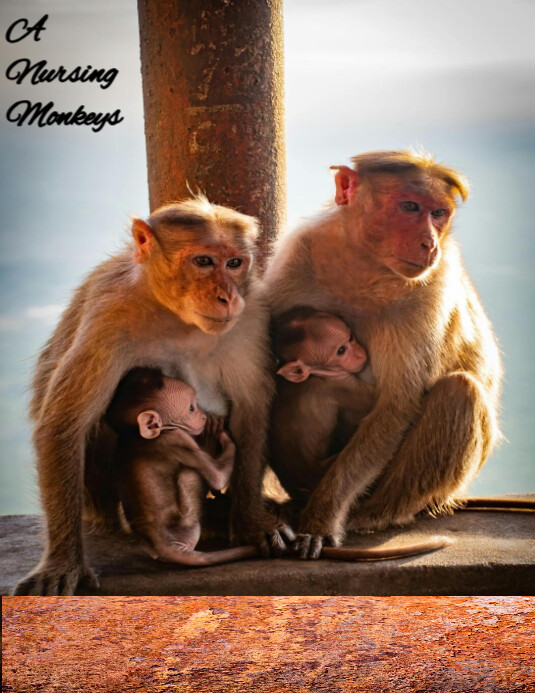 Copy of Brown Pastel Nursing Monkey Flyer (us Letter) | PosterMyWall