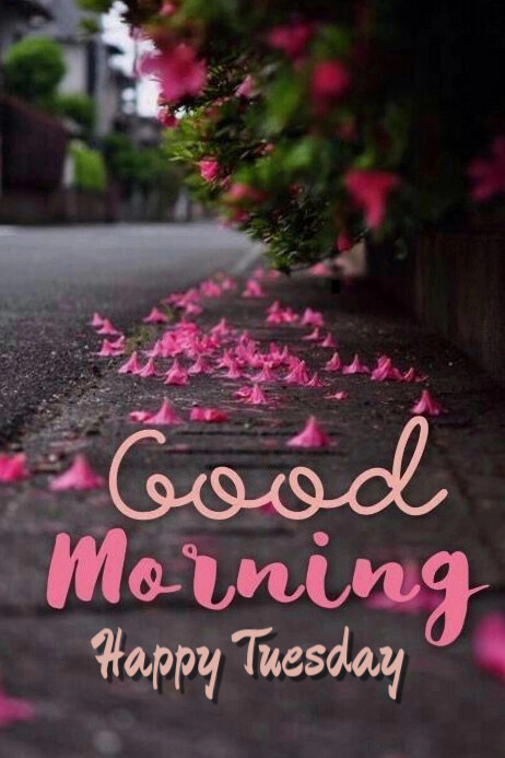 Copy of Brown Pastel Tuesday Morning Banner 4' × 6' | PosterMyWall