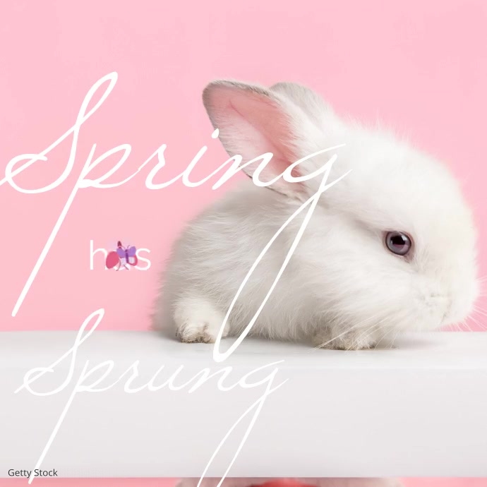 Bunny Spring Greeting Template | PosterMyWall