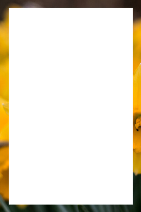 Burning Fire Poster Design Template | PosterMyWall