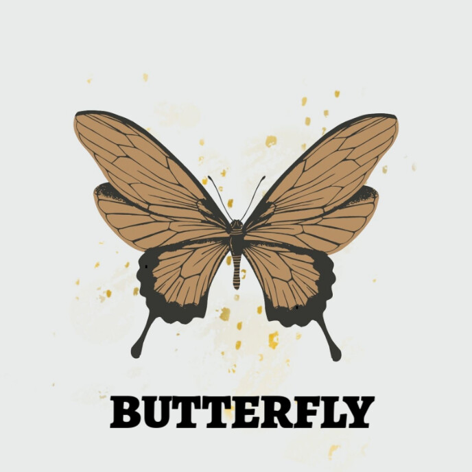 Copy of Butterfly Album Cover | PosterMyWall