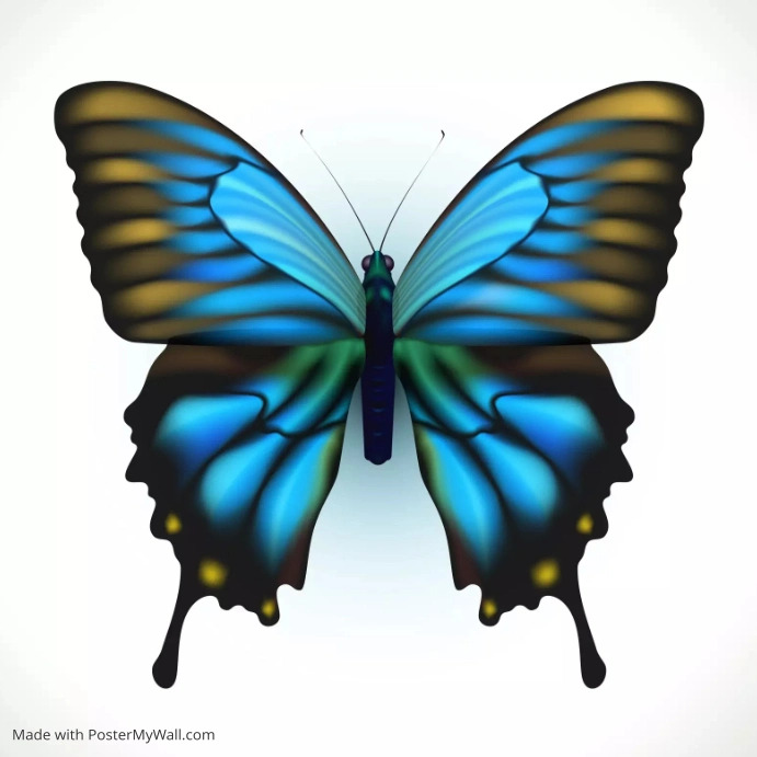 Butterfly design poster Template | PosterMyWall