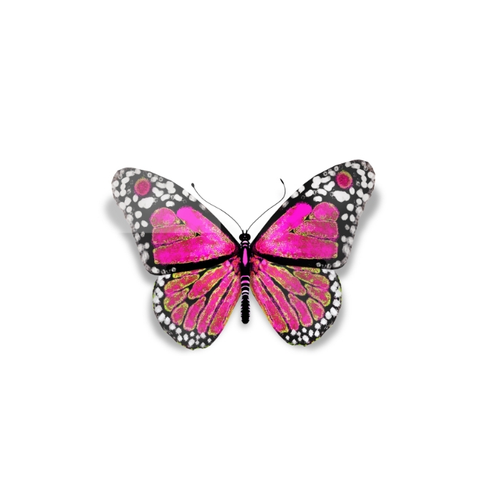 Butterfly Template | PosterMyWall