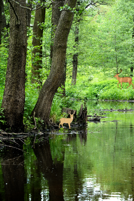 By the river's edge Template | PosterMyWall