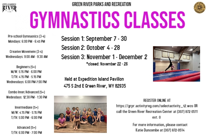 Copy of gymnastics poster | PosterMyWall