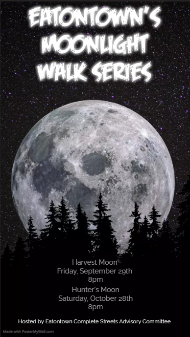 Moonlight Walk Series | PosterMyWall