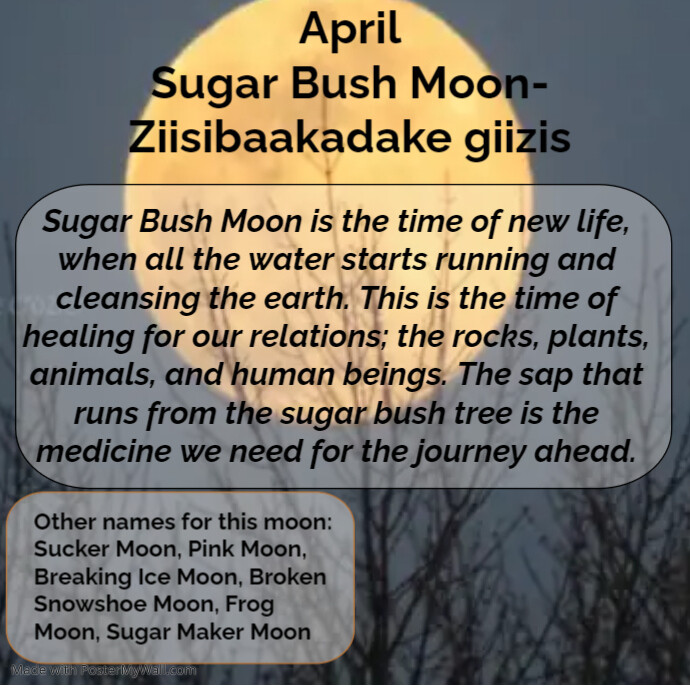 April Suguar Bush Moon | PosterMyWall