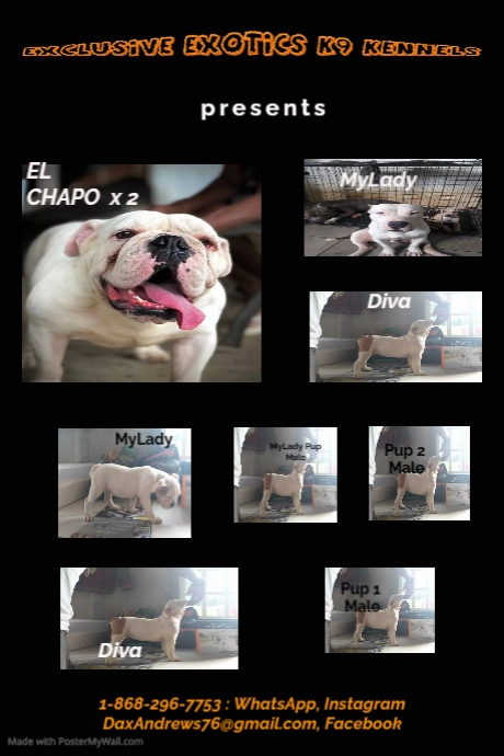 A New Design | PosterMyWall