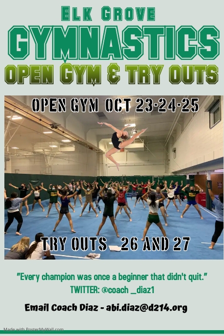 Copy of Copy of Gymnastics Lessons Poster | PosterMyWall
