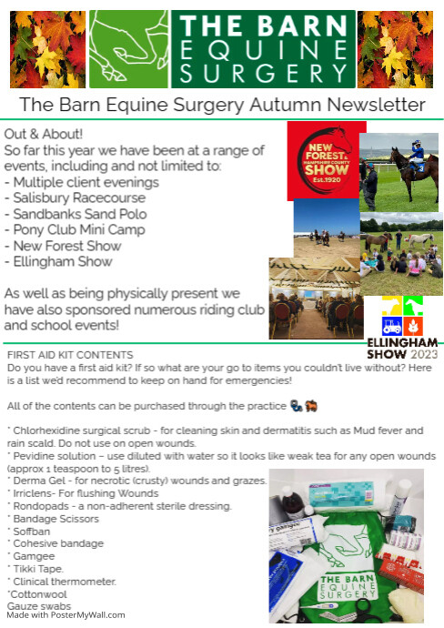 Newsletter page 1 | PosterMyWall