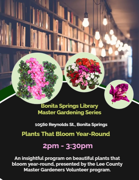 School Library Flyer Design Template (1) | PosterMyWall