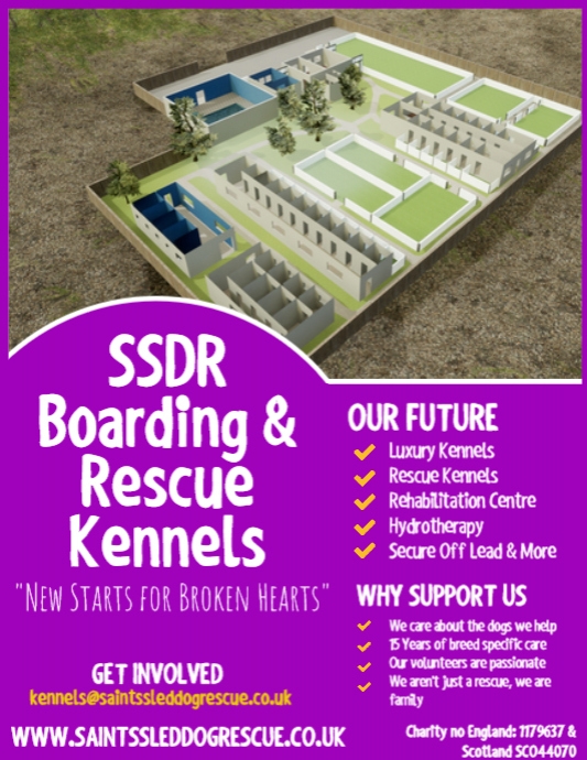 SSDR Kennels Brochure | PosterMyWall