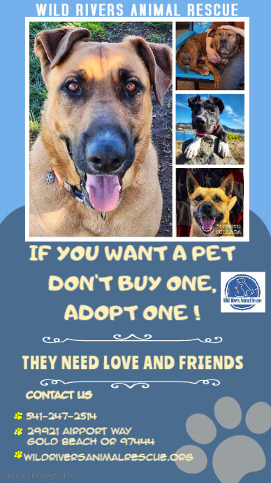 Pet Adoption Template | PosterMyWall