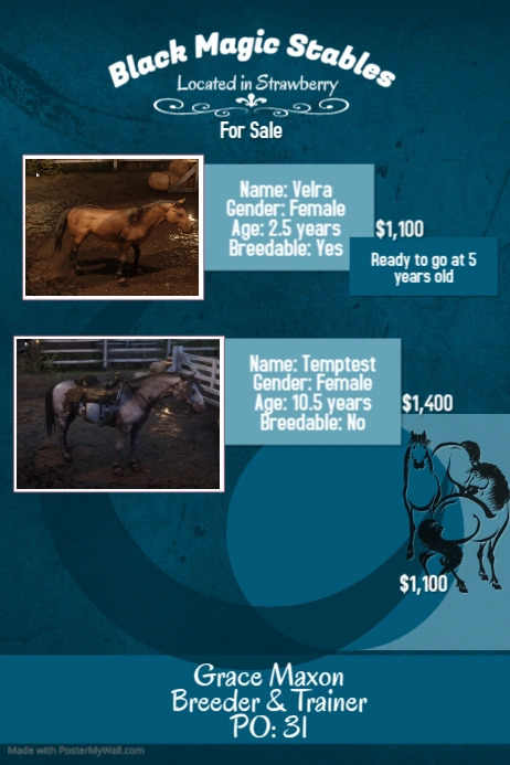 horseback riding lessons flyer template (2) | PosterMyWall