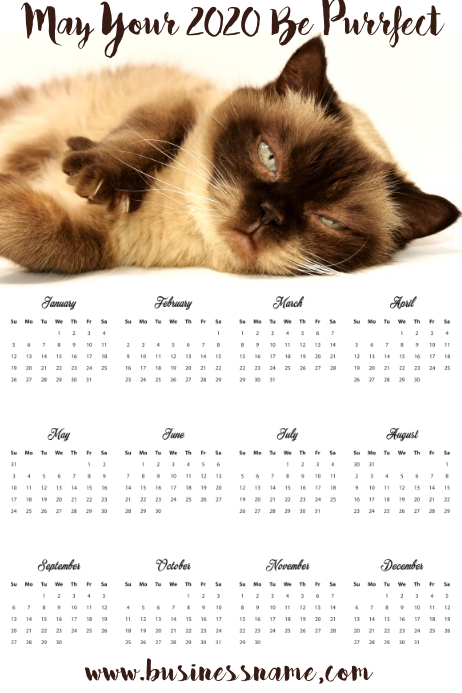 Calendar 2020 Kitten Template | PosterMyWall