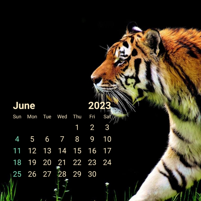 Copy of Calendar animal | PosterMyWall