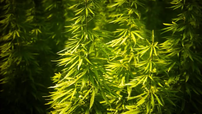 This Design Template is not available | PosterMyWall