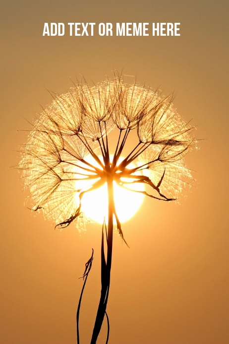 This Design Template is not available | PosterMyWall