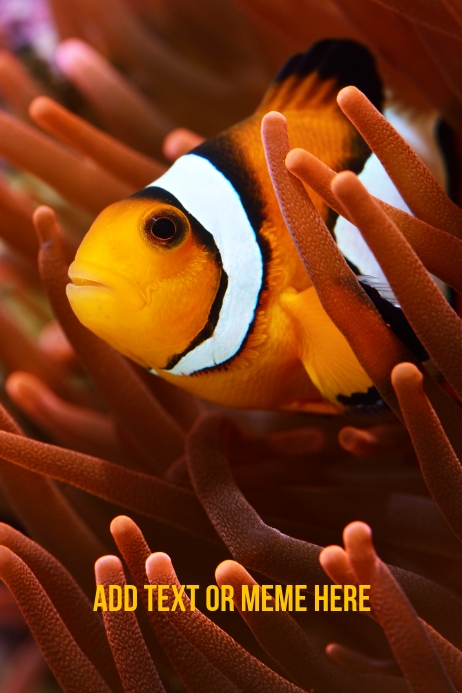 This Design Template is not available | PosterMyWall