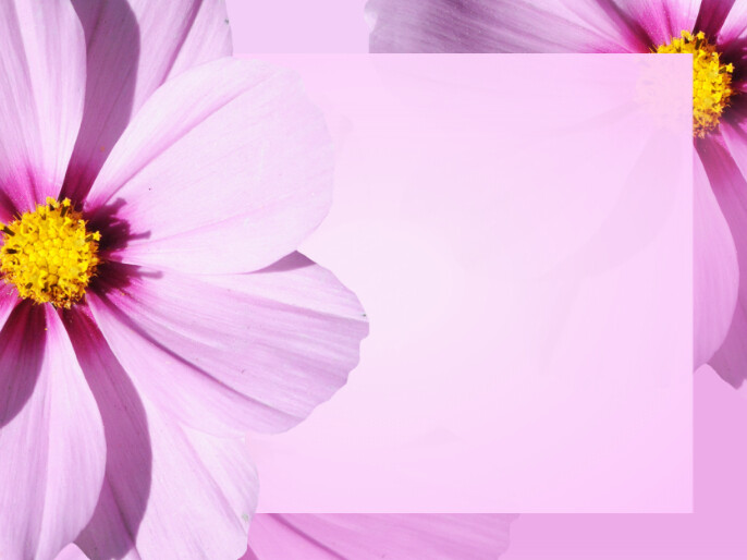 Copy of Card design | PosterMyWall