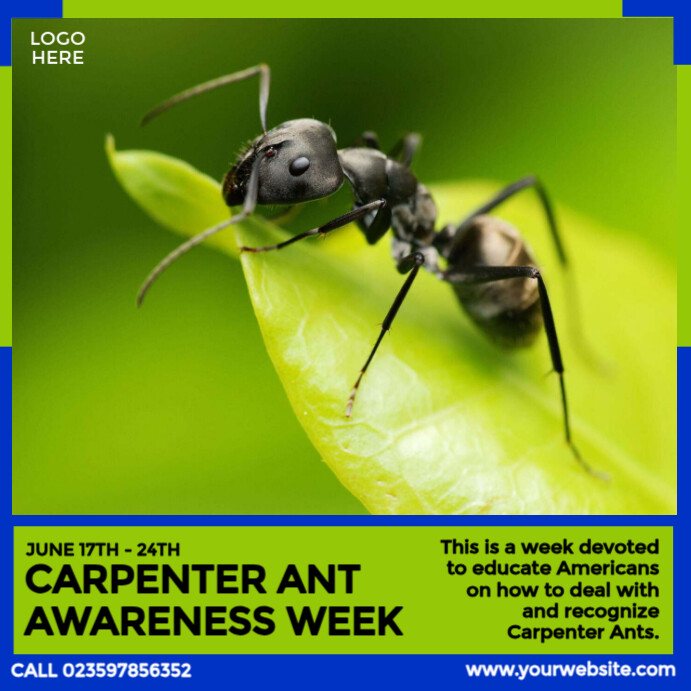 Copy of Carpenter Ant Awareness Week | PosterMyWall