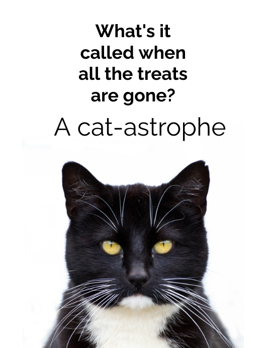 Plantilla de cat joke | PosterMyWall