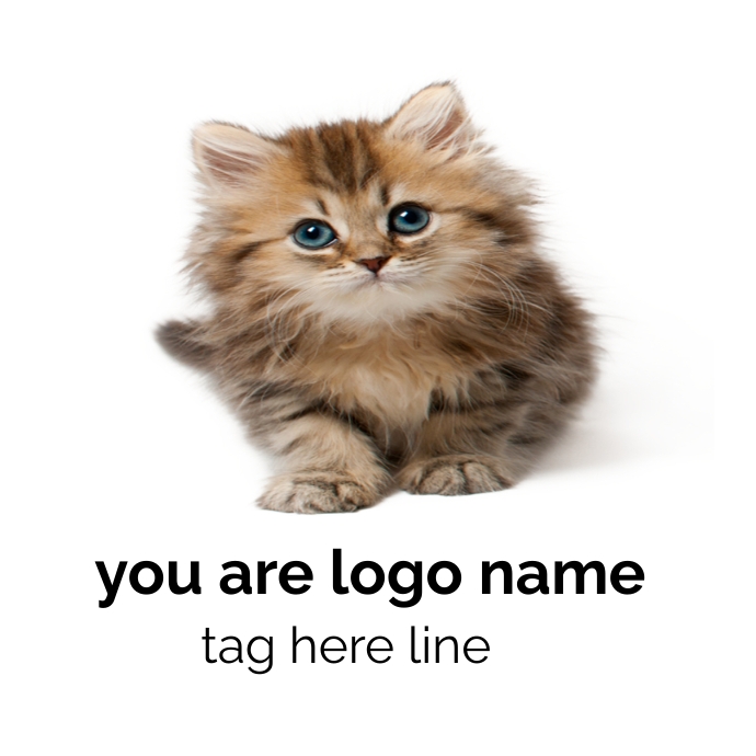 Cat logo Template | PosterMyWall