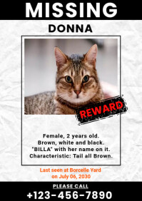 Missing Cat Template | PosterMyWall