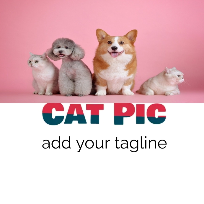 Cat pic Template | PosterMyWall