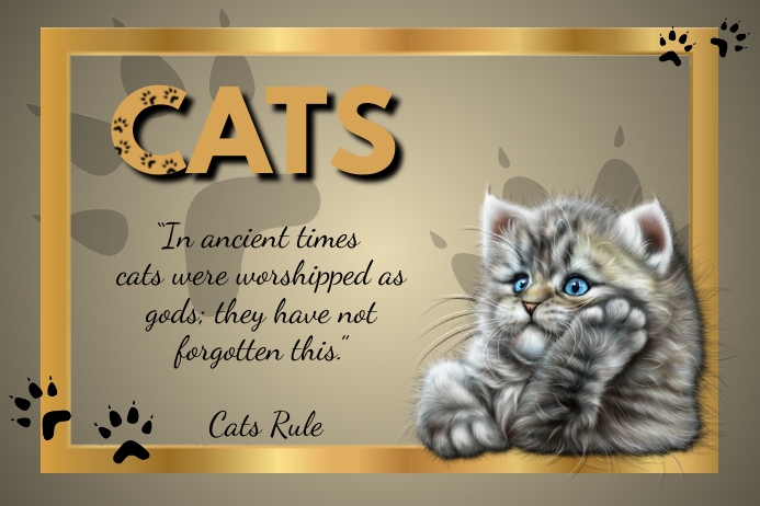 Cat Quote Template | PosterMyWall