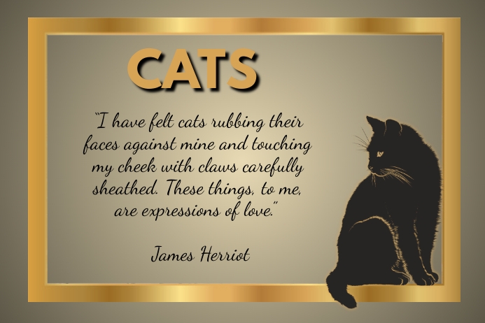 Cat Quote Template | PosterMyWall