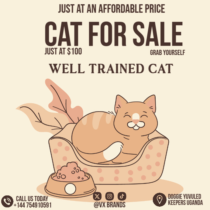 cat sale Template | PosterMyWall