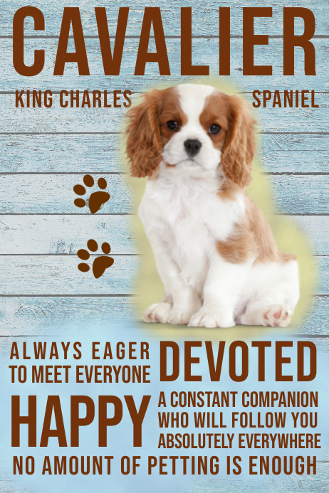Cavalier Poster Template | PosterMyWall