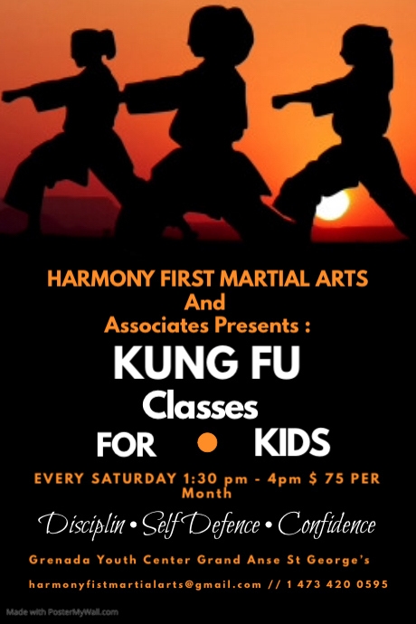 Kids Kung Fu classes | PosterMyWall
