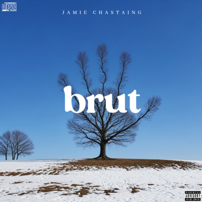 CD Mixtape/Album Cover Artwork Template | PosterMyWall